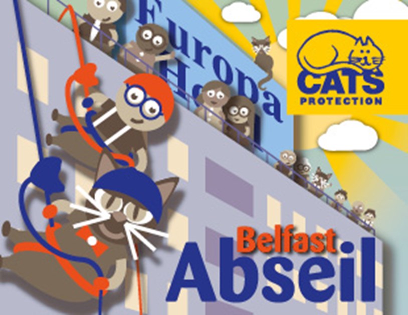 Jan Hamilton is fundraising for Cats Protection