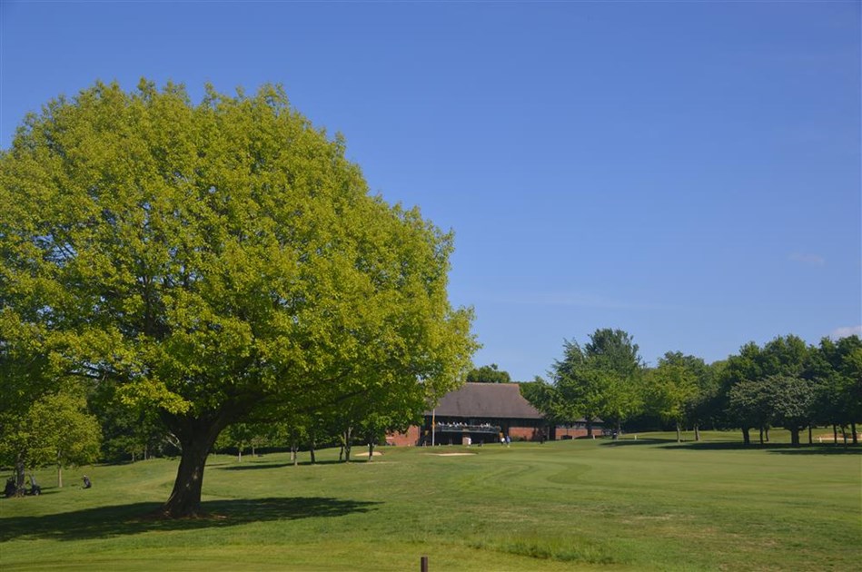 Bob Dench is fundraising for Tommy’s, the pregnancy and baby charity