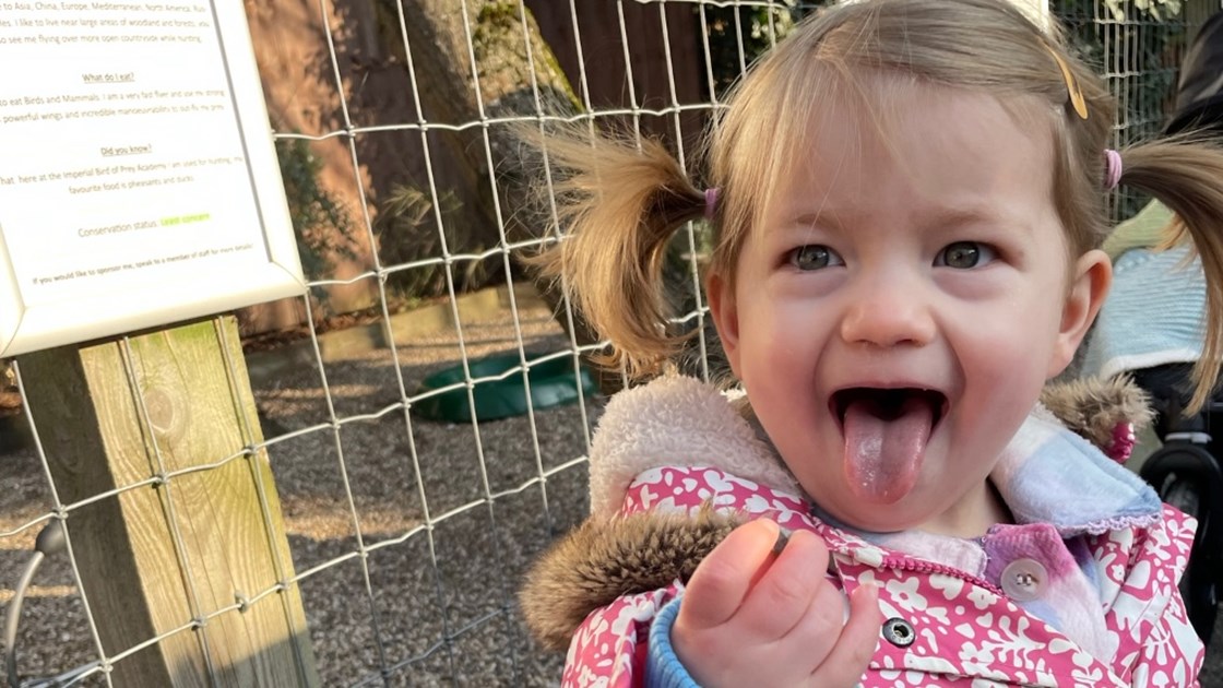 Steve Gutteridge is fundraising for Great Ormond Street Hospital ...