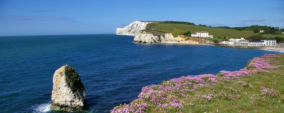 John Millgate is fundraising for Cancer Research UK