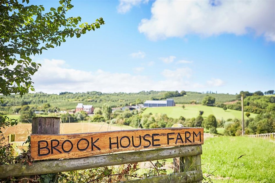 Brook House Hops is fundraising for The Lullaby Trust