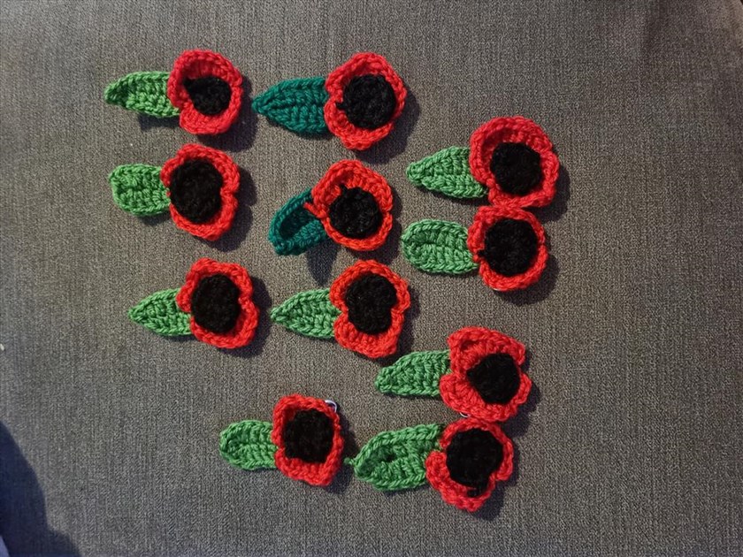 hayley Searle is fundraising for The Royal British Legion