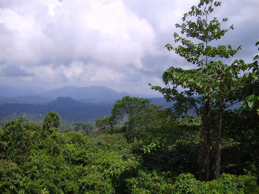 Sarah Burchett is fundraising for World Land Trust