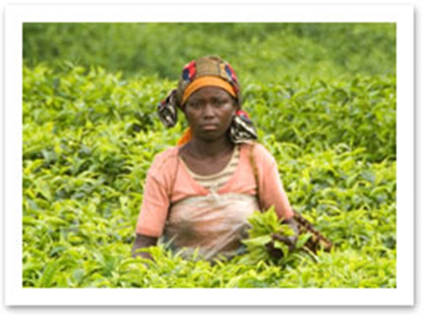 Miriam Bird is fundraising for Women for Women International UK