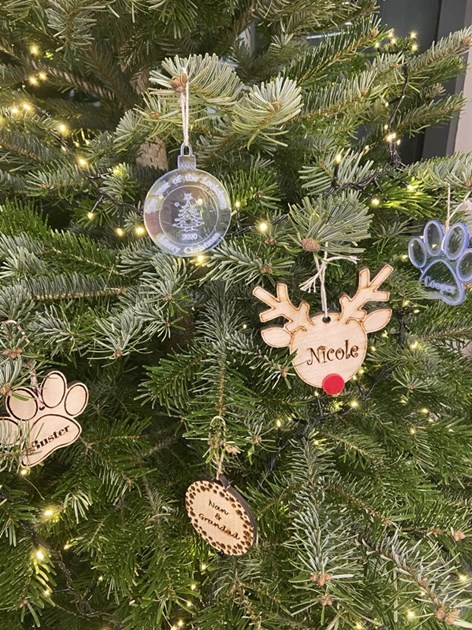 IDEA Centre is fundraising for Beechley Stables RDA