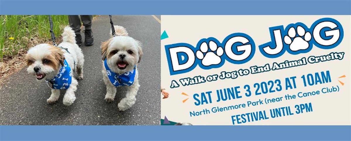 Scout and Hunter is fundraising for Calgary Humane Society