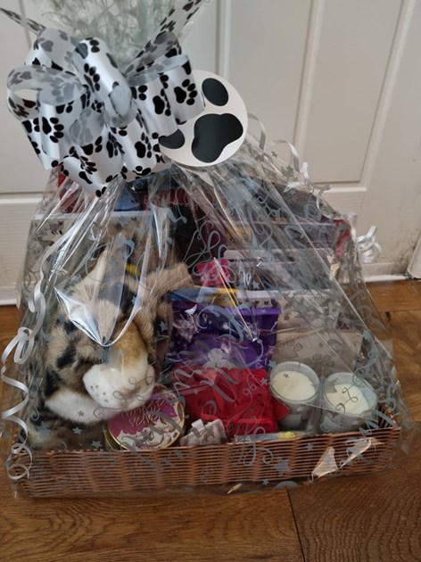Cardiff CatsProtection is fundraising for Cats Protection