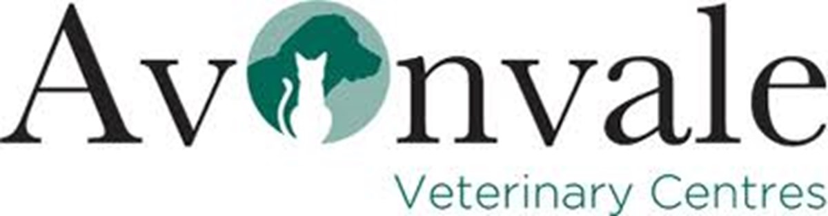 Avonvale Vets is fundraising for World Animal Protection
