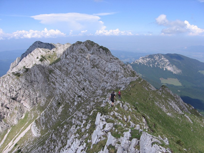 Susan Nottingham is fundraising for Hospice Of St Francis (Berkhamsted)