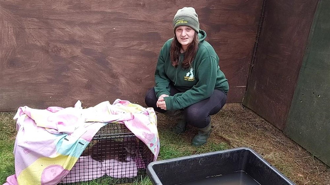 Summer Hales is fundraising for UK Wild Otter Trust