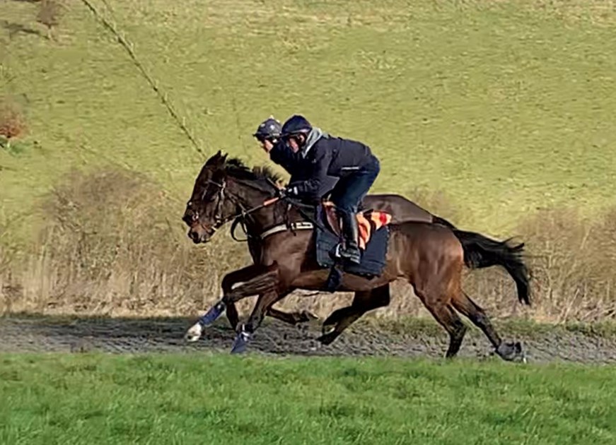 Alexandra Haggard is fundraising for The Injured Jockeys Fund