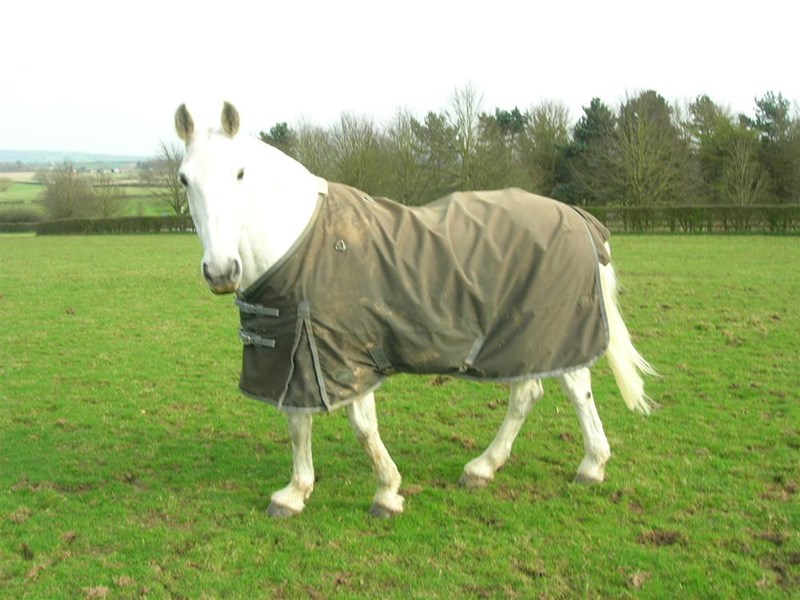 Sarah Watkinson is fundraising for New Yatt Riding For The Disabled