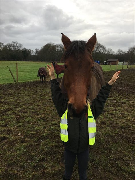 Lisa Theron is fundraising for Hannah's Willberry Wonder Pony Charity
