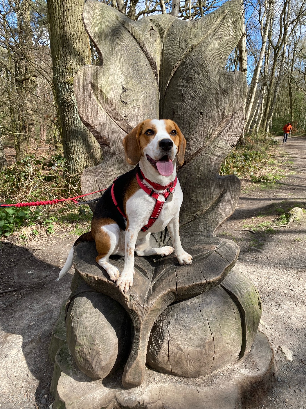 Leila Lee is fundraising for LOROS, the Leicestershire and Rutland Hospice