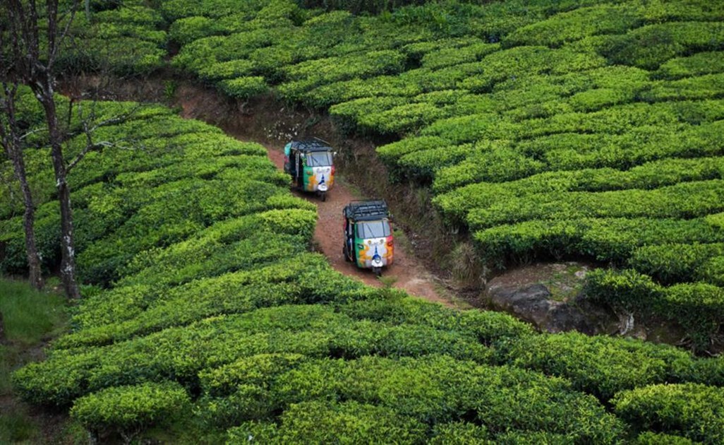 Amy Pocock is fundraising for Cool Earth