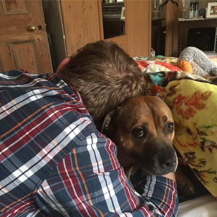 Philip Glew is fundraising for British Liver Trust