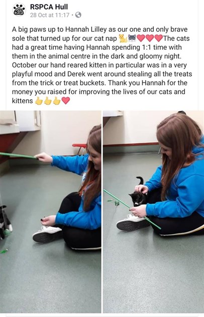 Hannah Lilley is fundraising for RSPCA Hull And East Riding
