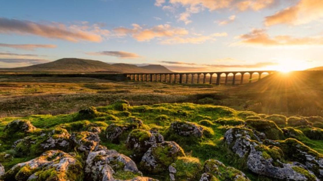 Chloe Thorpe is fundraising for Henshaws