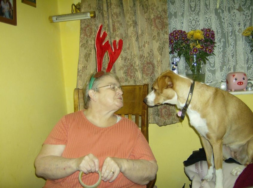 daniel beynon-fisher is fundraising for Yorkshire Air Ambulance Charity