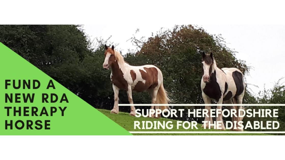 Fund a new RDA therapy horse - JustGiving