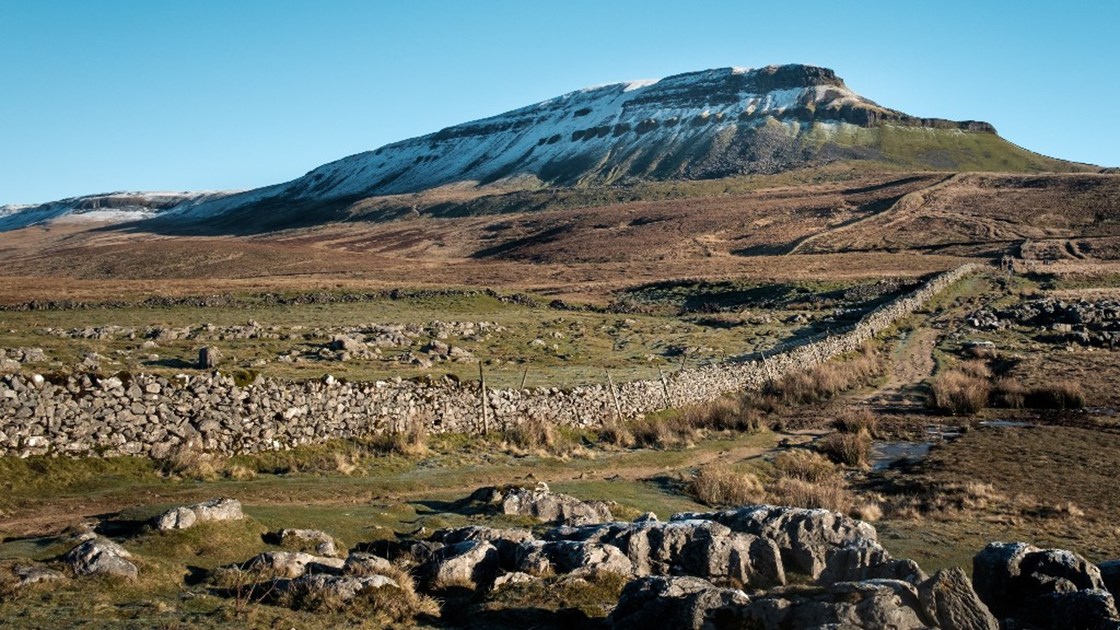 Daniel Purdon is fundraising for Mind