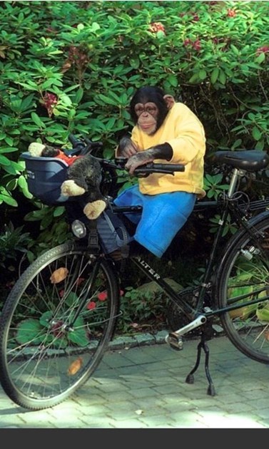 Wendy Mather is fundraising for British Heart Foundation