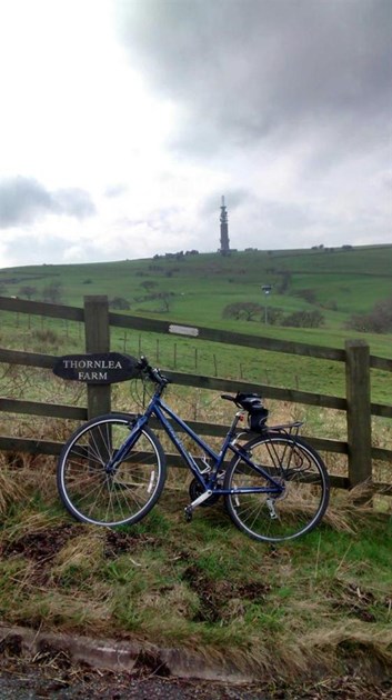 Alison Hall is fundraising for Macmillan Cancer Support