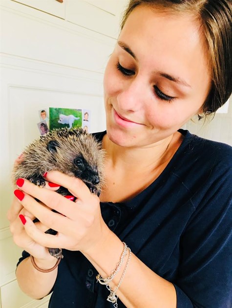 Robyn Errington-Coates is fundraising for Farplace Animal Rescue