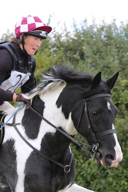 Beverley Molter is fundraising for Hannah's Willberry Wonder Pony Charity