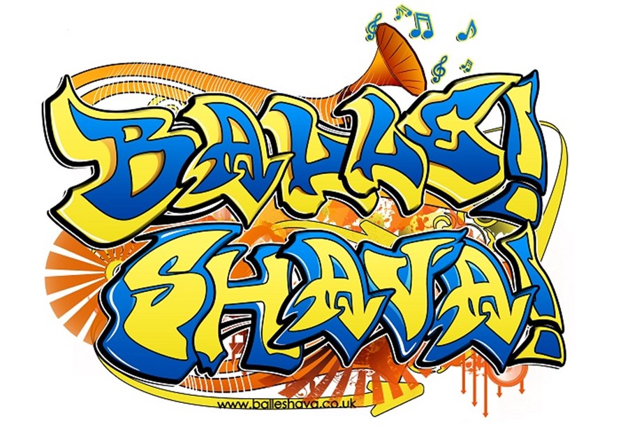 Balle Shava is fundraising for RNID