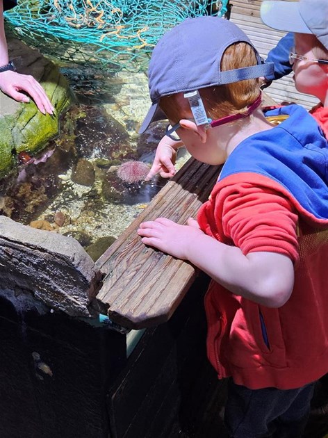 Rachel Rutherford is fundraising for Tree of Hope