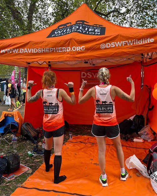 Simone Dill is fundraising for David Shepherd Wildlife Foundation