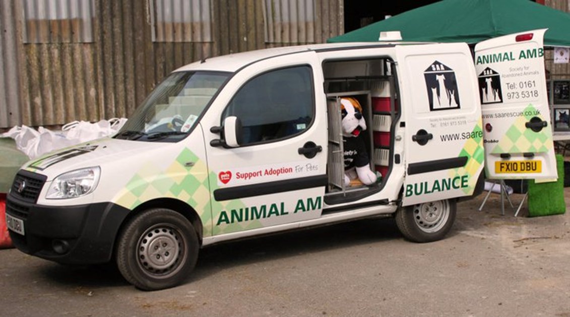 ELIZABETH COLLEY is fundraising for Society For Abandoned Animals