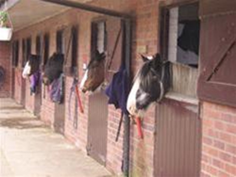 Karen Kindred is fundraising for RDA Glasgow Group