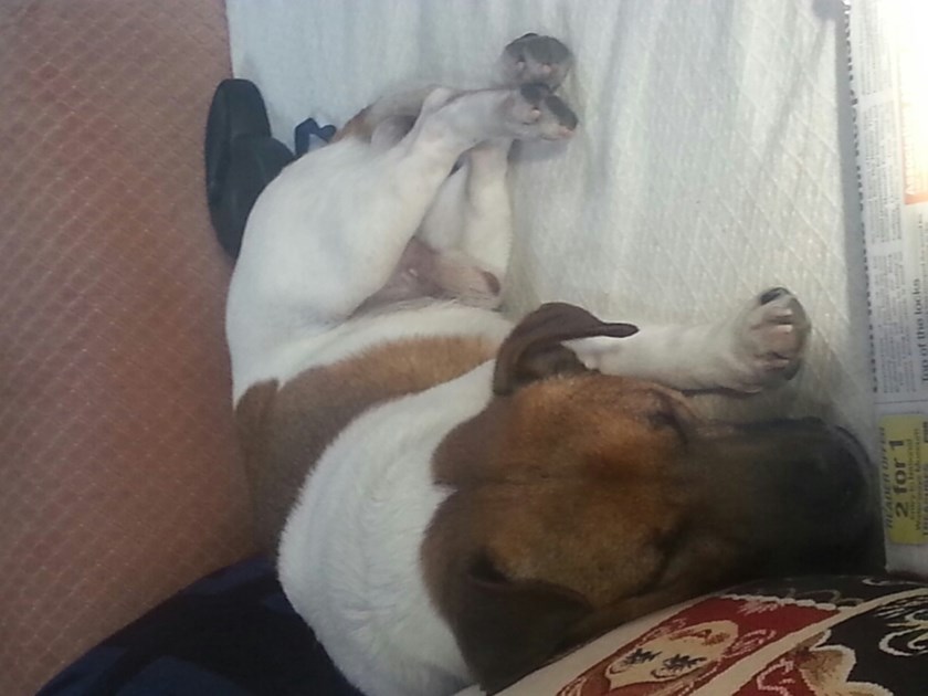 Alisa Joy Ward is fundraising for Rainbows Hospice for Children and ...