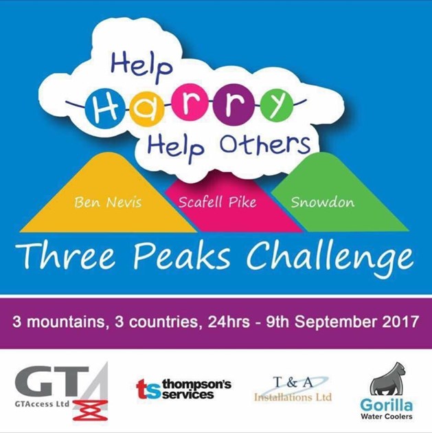 HHHOchallenge 18 is fundraising for Help Harry Help Others