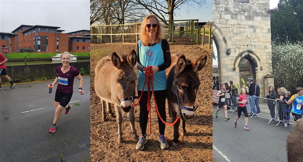 Trudy Larkinson is fundraising for The Donkey Sanctuary