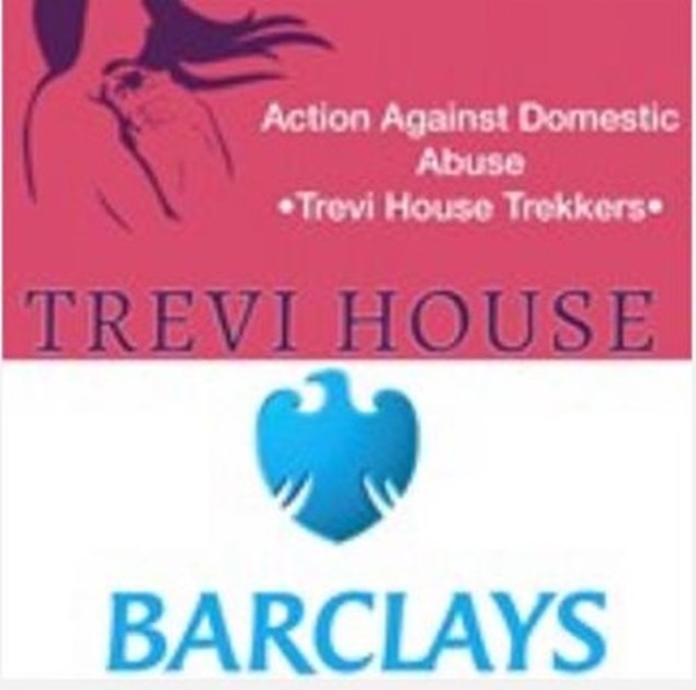 Mandy Cleaver is fundraising for Trevi