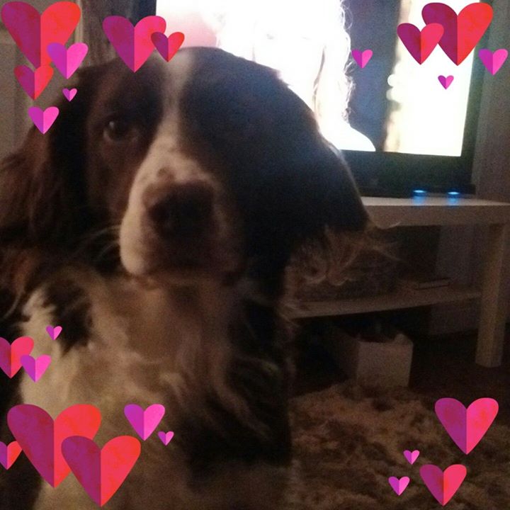 Fiona Gilmore is fundraising for Cancer Research UK