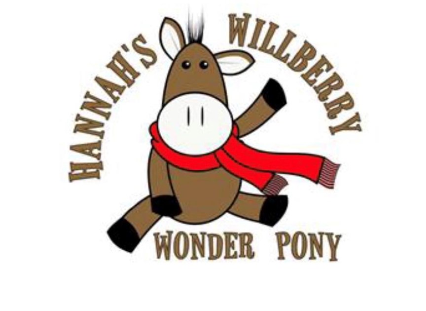 Harry Bridle is fundraising for Hannah's Willberry Wonder Pony Charity