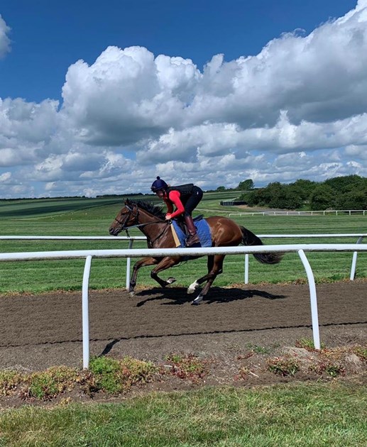 Chelsea Brooks is fundraising for Racing Welfare