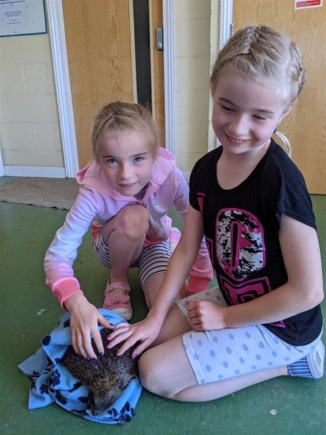 Sally-Anne Ginder is fundraising for Cuan Wildlife Rescue