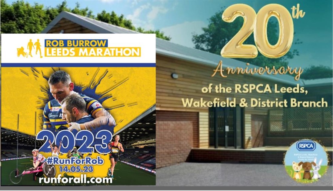 Lewis Hoyle is fundraising for RSPCA Leeds Wakefield & District