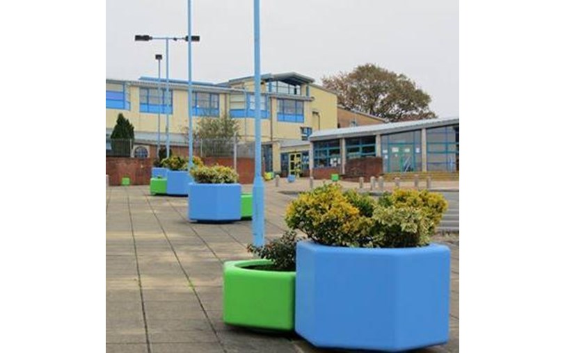 New Inn Primary School is fundraising for Comic Relief