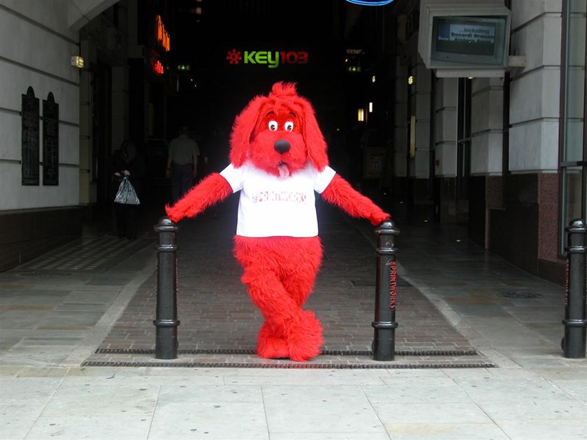 Harry Hound is fundraising for Forever Manchester