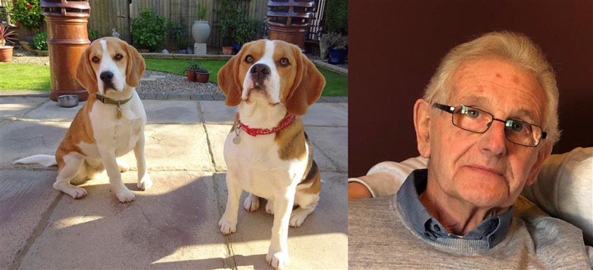 Matthew Jones is fundraising for Beagle Welfare