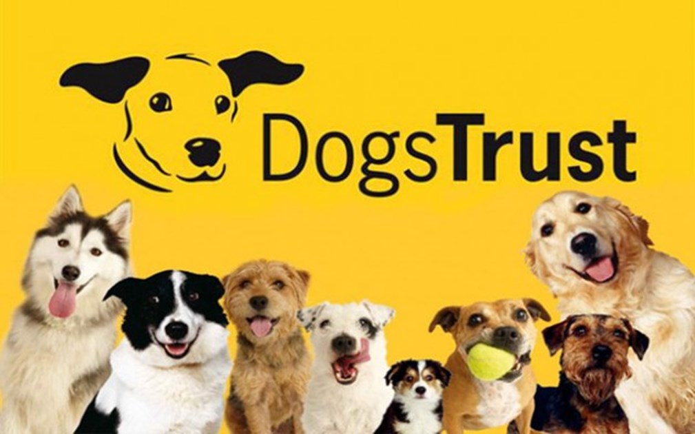 Jake Instrell is fundraising for Dogs Trust