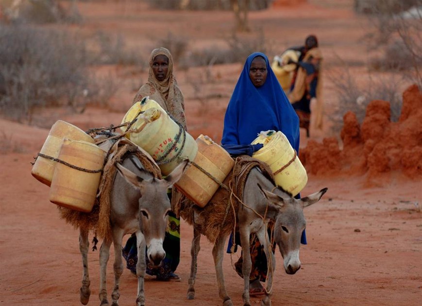 amy patrick is fundraising for Brooke