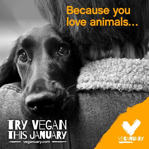 Helen Inglis is fundraising for Veganuary