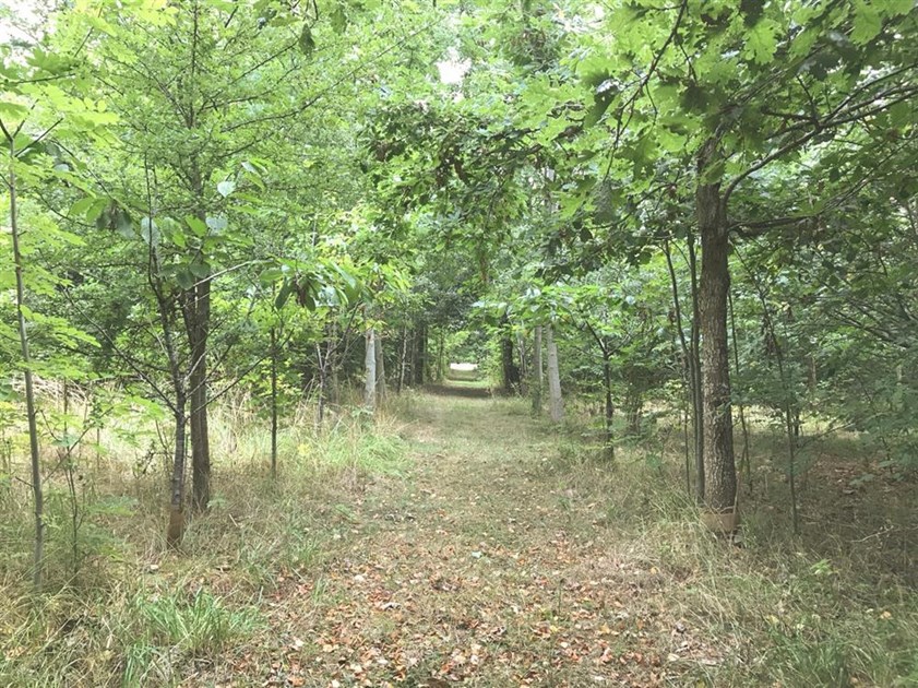 Rachel Gatt is fundraising for Ataxia UK